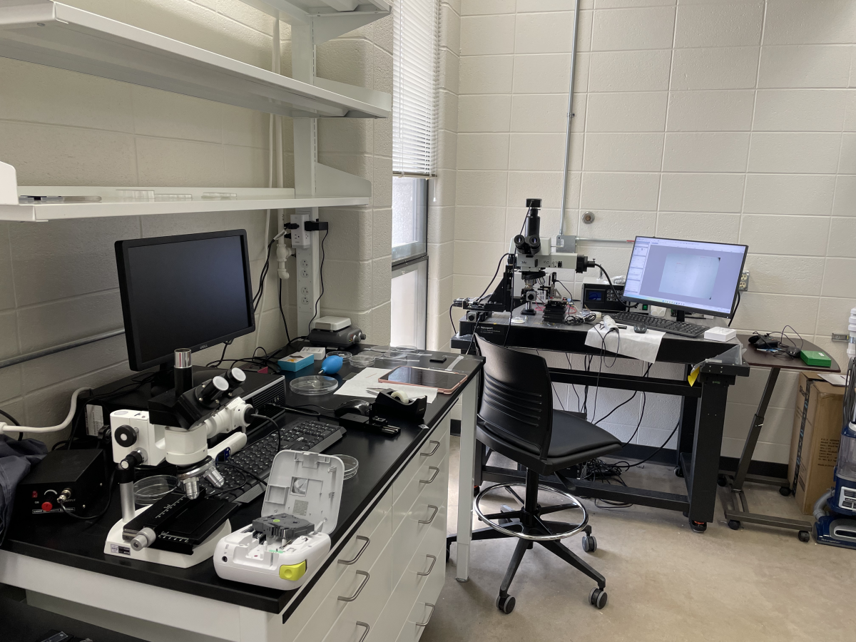Lab – Xiao Group – UW–Madison